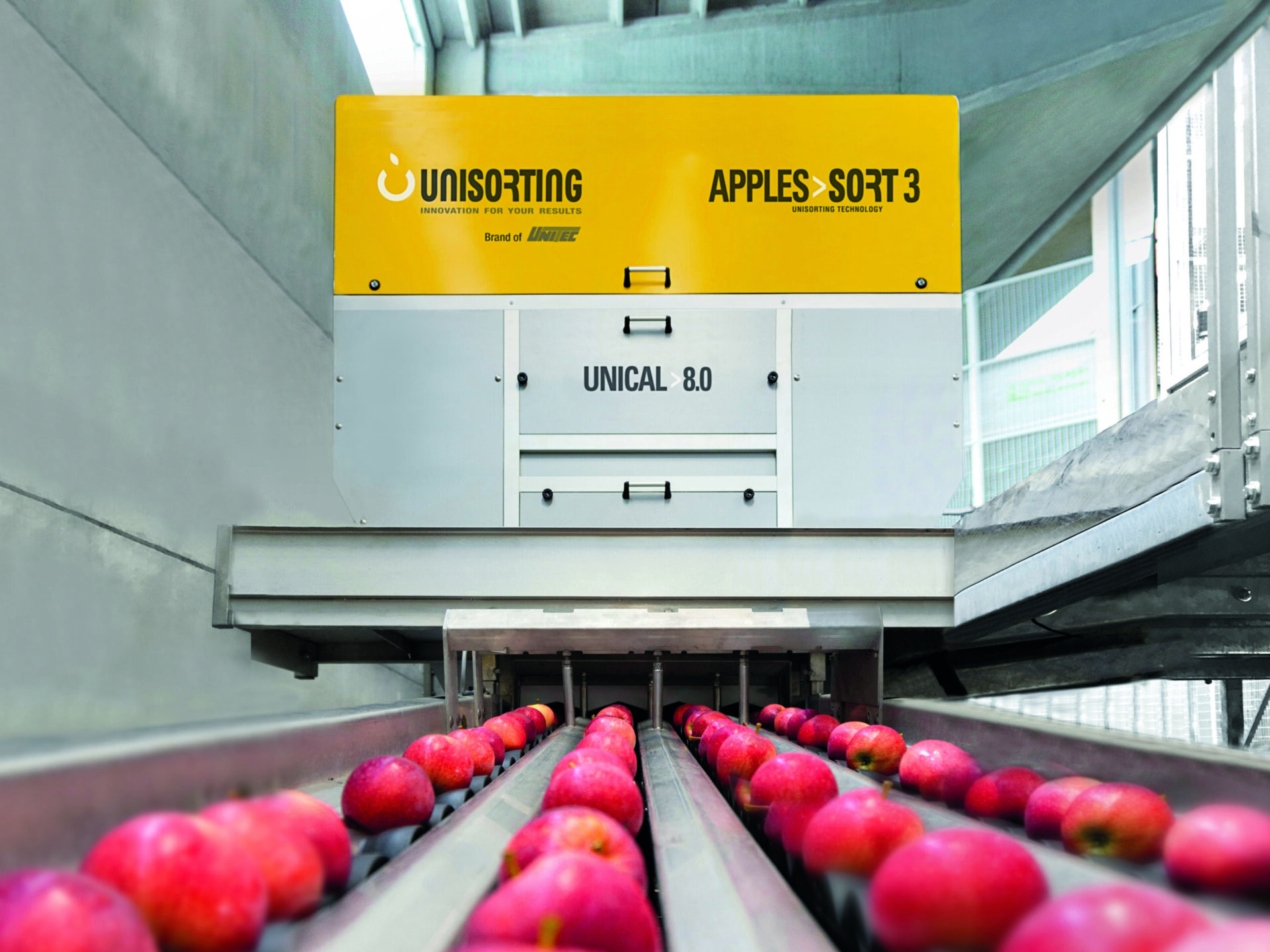 Unisorting Apples Sort 3 - Unisorting brand of UNITEC - dot B