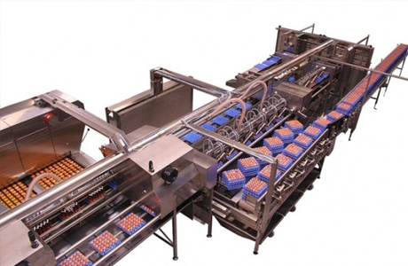 Egg grading machine FL loader series - MOBA Group - dot B