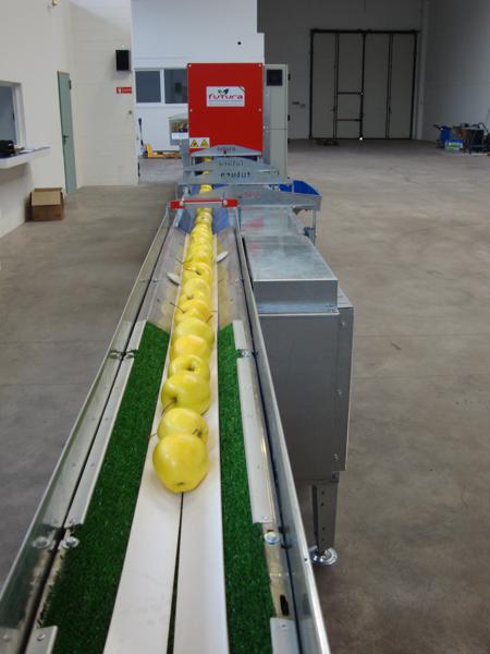 APPLE GRADING & SORTING MACHINES - Futura S.r.l. - dot B