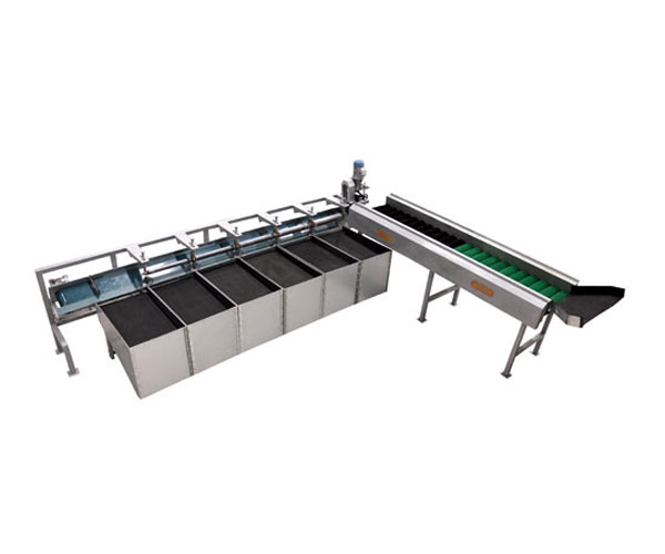 Apple Grading Machines Type II. - saw Agro Industries Pvt. Ltd. - dot B