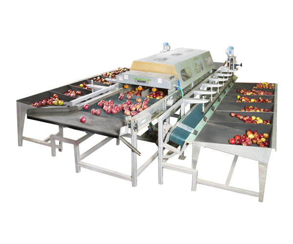 Apple Grading Machines Type III. - saw Agro Industries Pvt. Ltd. - dot B
