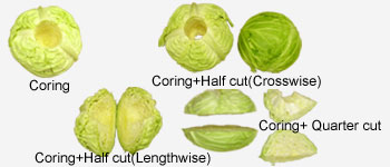 CABBAGE CORER AND DIVIDER / MODEL CW-500 - EMURA FOOD MACHINE CO.LTD ...