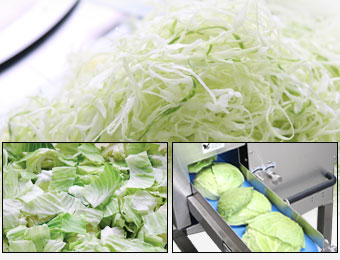 FOOD SLICER / MODEL ECD-403 - EMURA FOOD MACHINE CO.LTD. - dot B