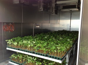 Pest and Disease Control System for Agricultural - FTH Co. Ltd - dot B