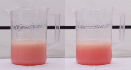 [Experiment] Do They Look the Same but Have Different Contents ...