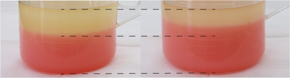 [Experiment] Do They Look the Same but Have Different Contents ...